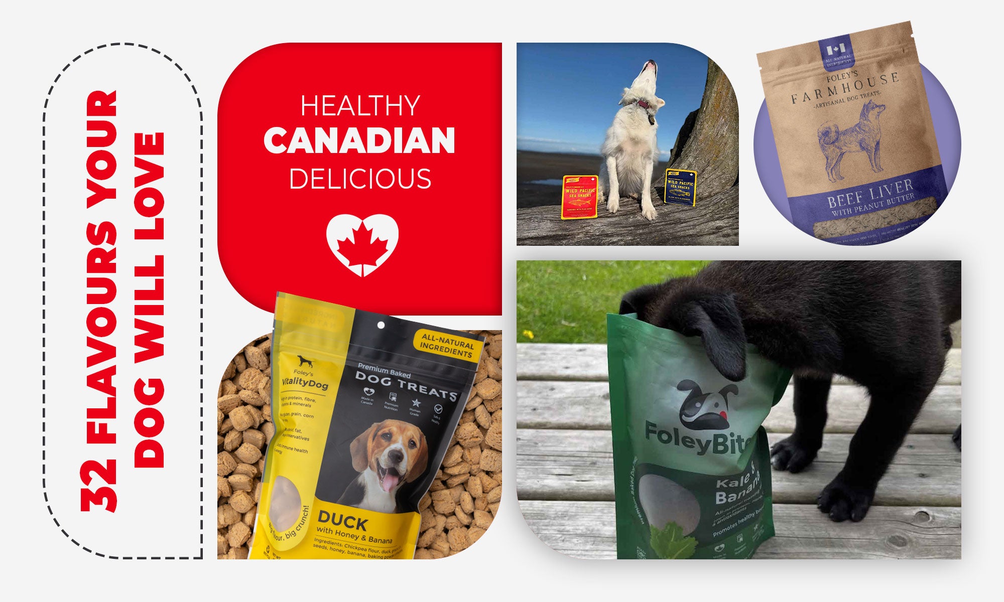 Foley Dog Treat Company