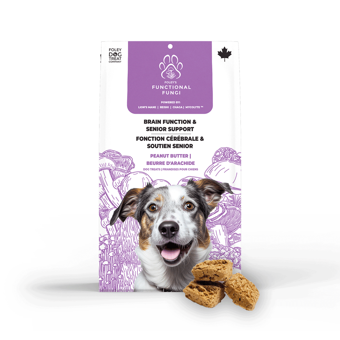 Treat Healthy – Foley Dog Treat Company