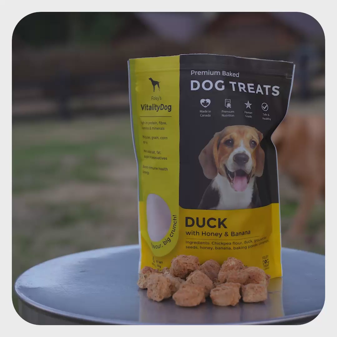 Foley Dog Treat Company